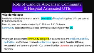 Fungal Urinary Tract Infections by YF.pdf