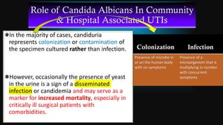 Fungal Urinary Tract Infections by YF.pdf