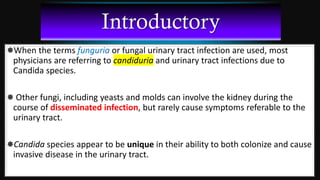 Fungal Urinary Tract Infections by YF.pdf