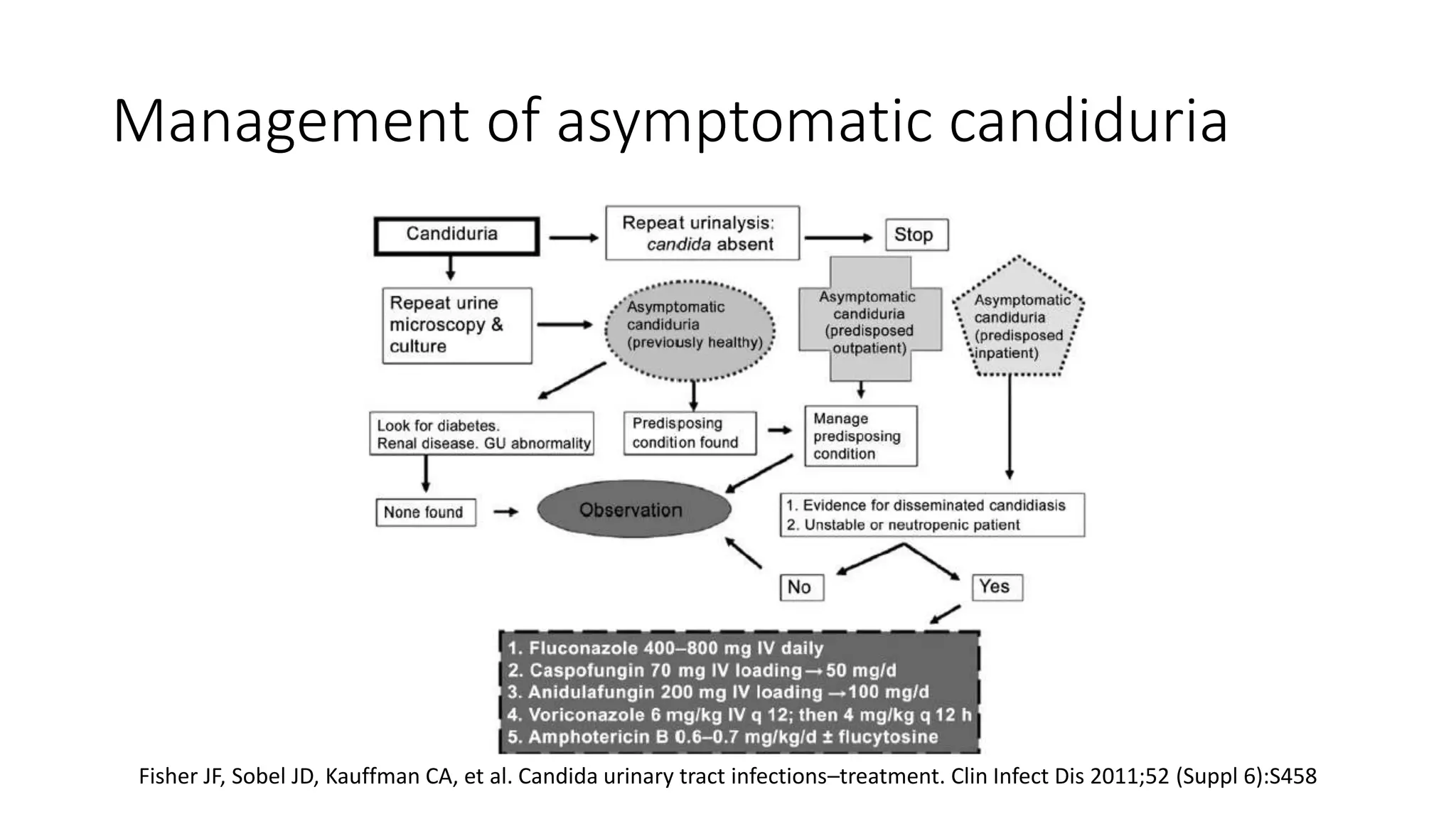 Fungal Infections of the Urinary Tract | PPTX