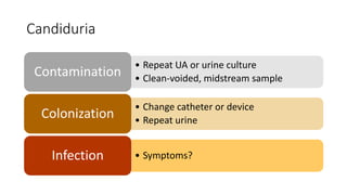 Fungal Infections of the Urinary Tract | PPTX