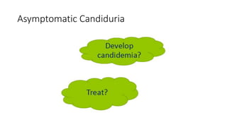 Fungal Infections of the Urinary Tract | PPTX