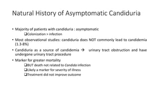Fungal Infections of the Urinary Tract | PPTX | Infectious Diseases ...