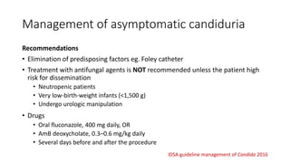 Fungal Infections of the Urinary Tract | PPTX