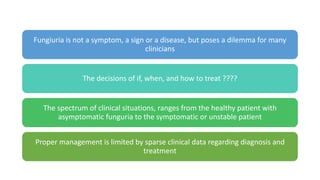 Fungal Infections of the Urinary Tract | PPTX