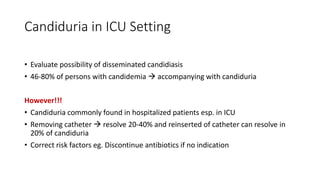 Fungal Infections of the Urinary Tract | PPTX