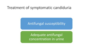 Fungal Infections of the Urinary Tract | PPTX