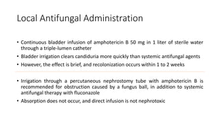 Fungal Infections of the Urinary Tract | PPTX
