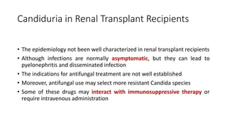 Fungal Infections of the Urinary Tract | PPTX