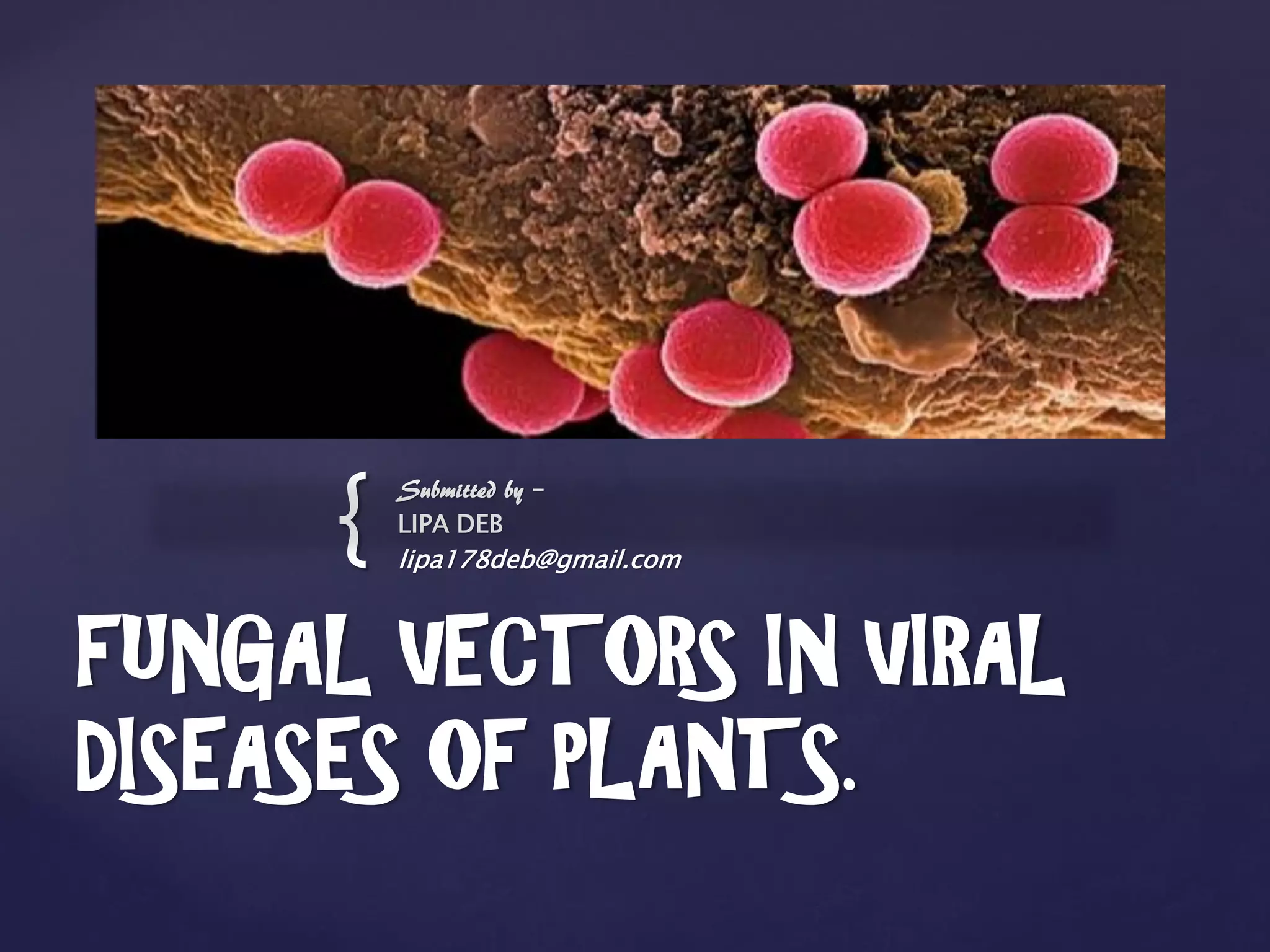Fungal vectors | PDF