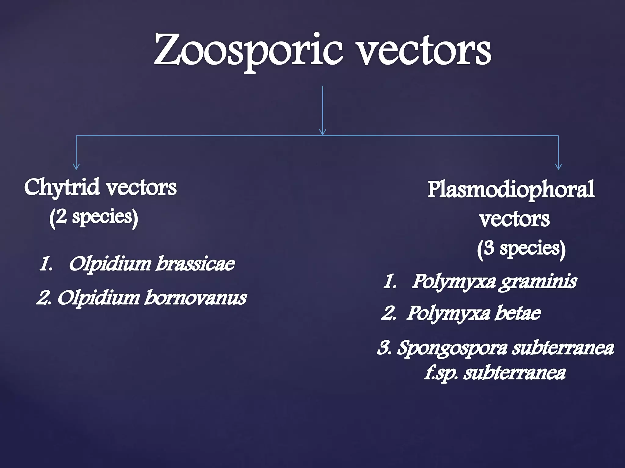 Fungal vectors | PDF
