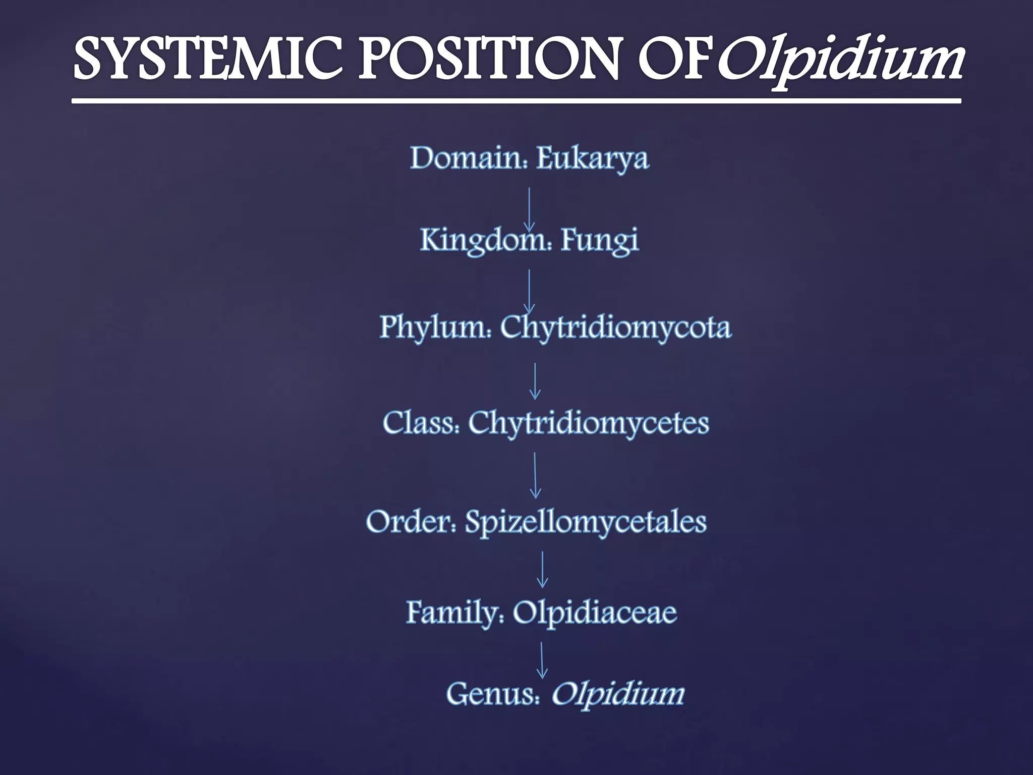 Fungal vectors | PDF