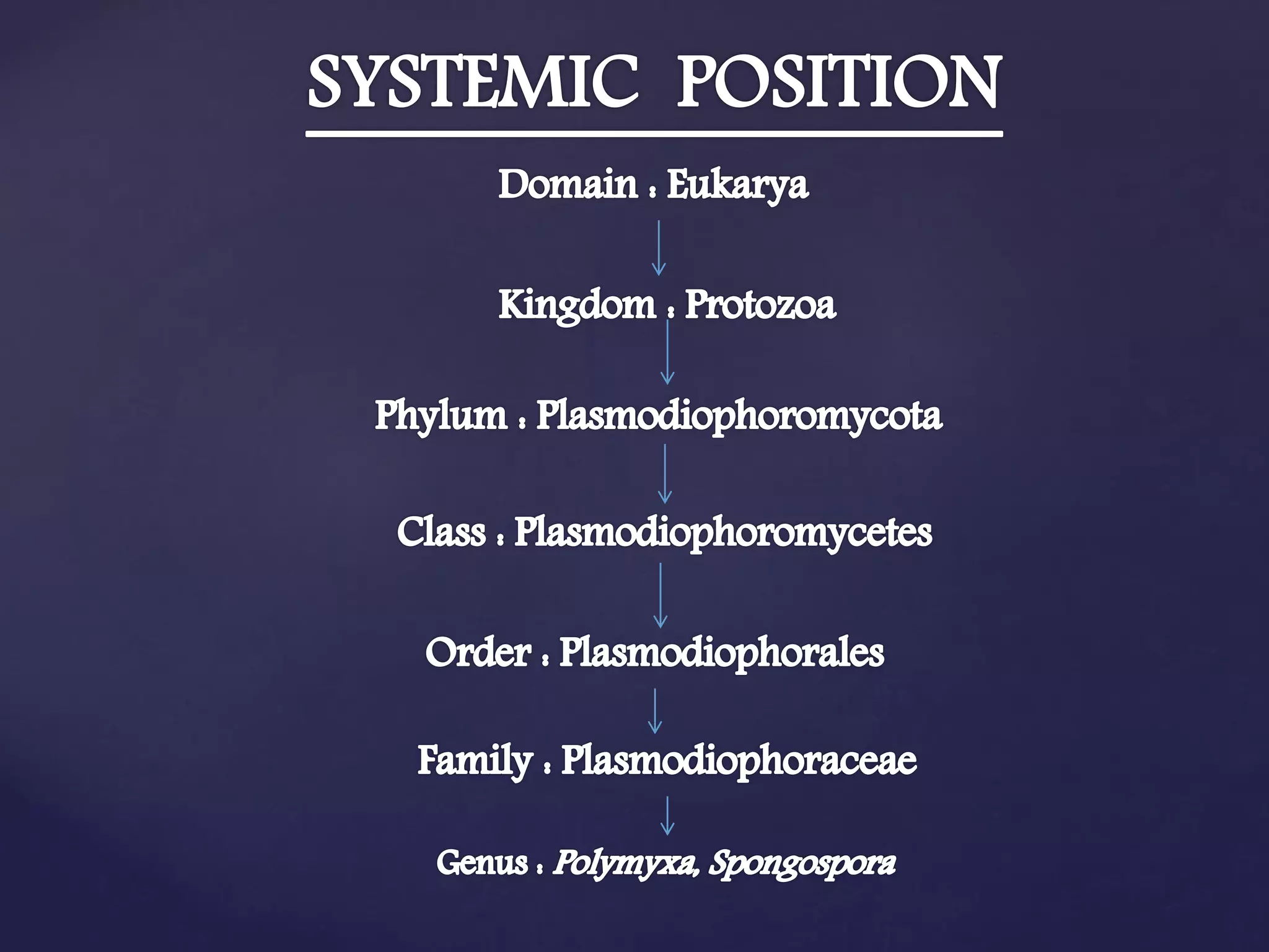 Fungal vectors | PDF