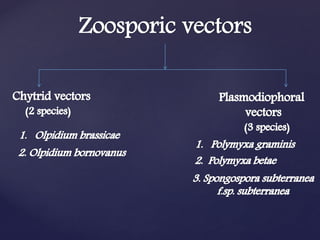Fungal vectors | PDF