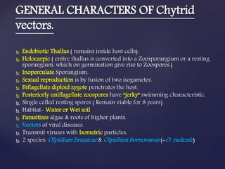 Fungal vectors | PDF