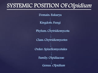 Fungal vectors | PDF