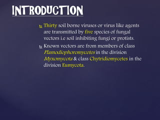 Fungal vectors | PDF