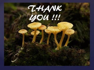 Fungal vectors | PDF
