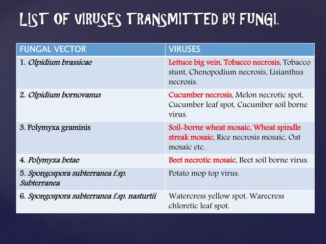 Fungal vectors | PDF