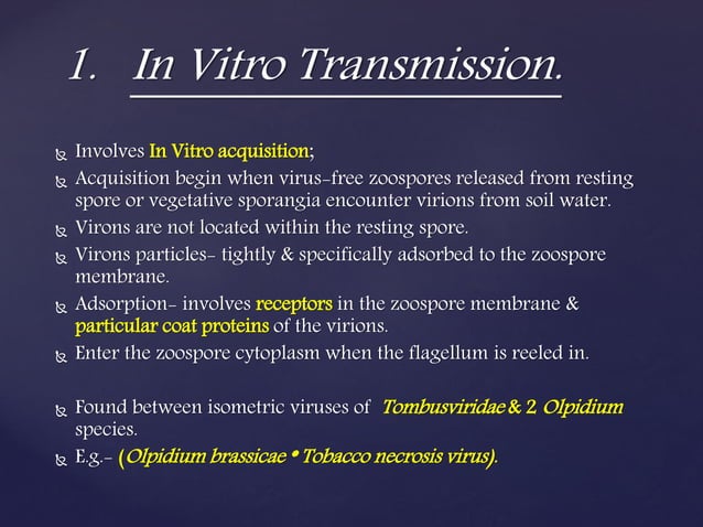 Fungal vectors | PDF