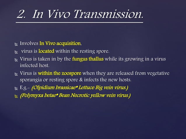 Fungal vectors | PDF