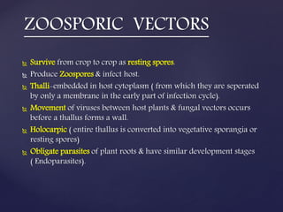 Fungal vectors | PDF