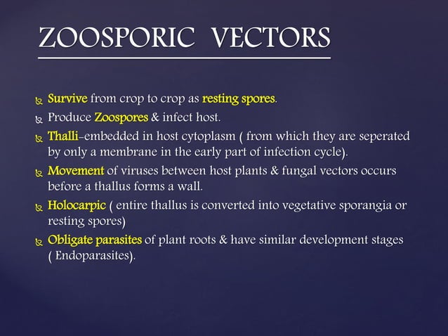 Fungal vectors | PDF