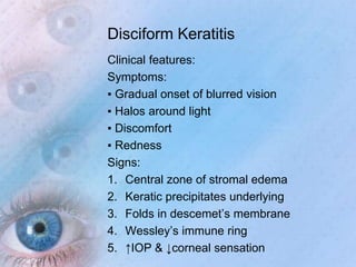 Fungal & viral keratitis | PPTX