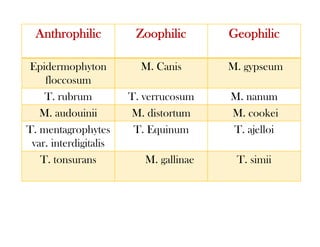 Fungal zoonoses | PDF