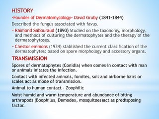 FUNGAL ZOONOSES.pptx | PPTX