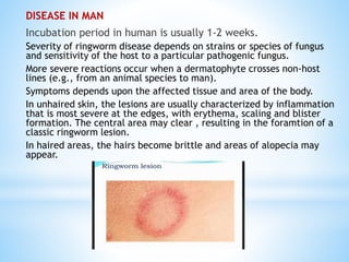 FUNGAL ZOONOSES.pptx | PPTX