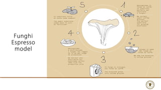Funghi espresso presentation | PPT