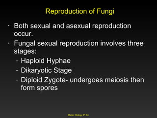 Fungi | PPT