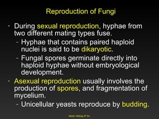 Fungi | PPT