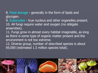 Fungi | PPT