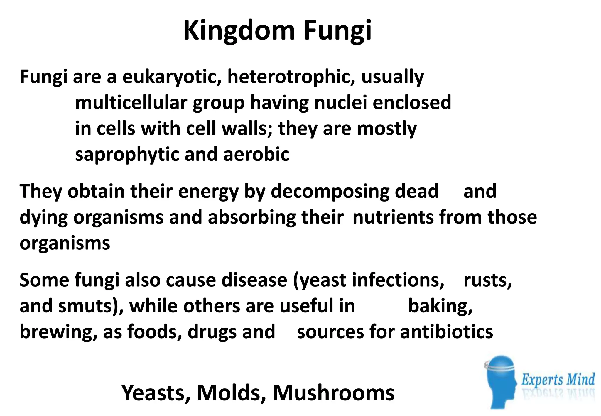 Fungi | PPTX