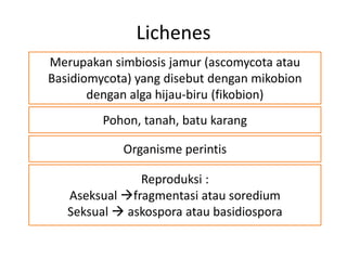 materi fungi untuk kelas 10 sma semester 1 | PPTX