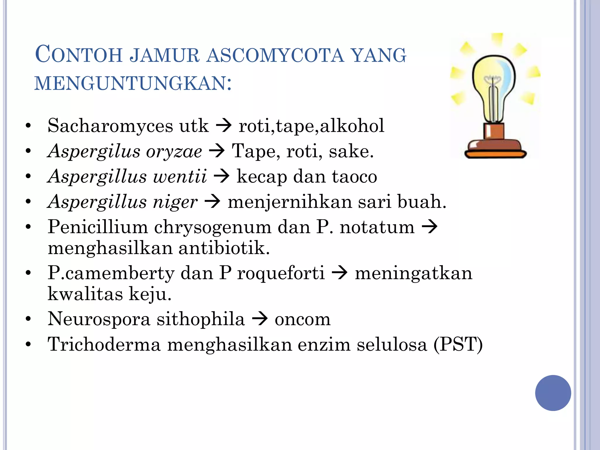 Jamur (Fungi) | PPTX