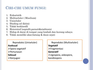 Jamur (Fungi) | PPTX