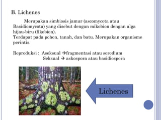 Jamur (Fungi) | PPTX