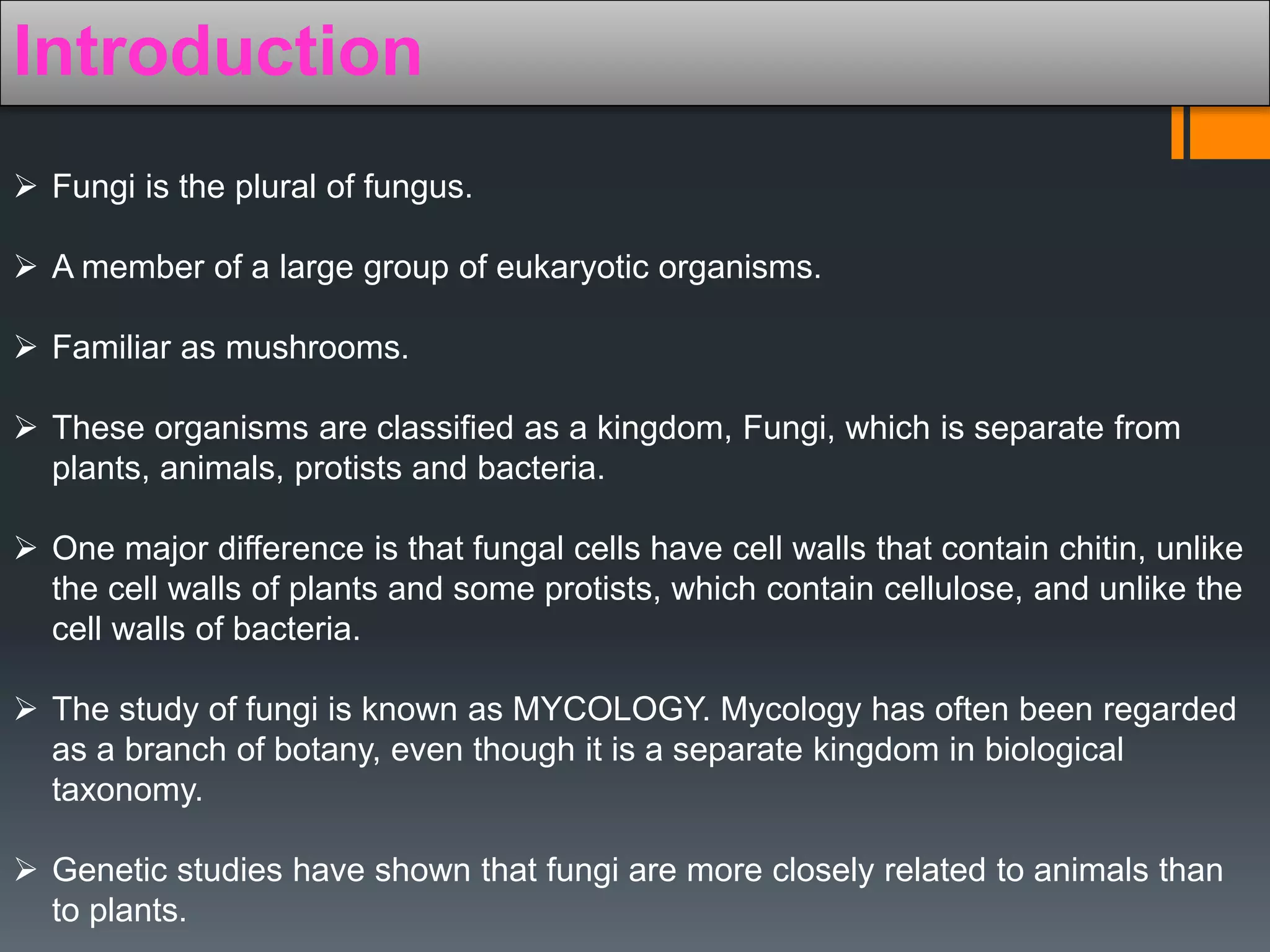 Fungi | PPT