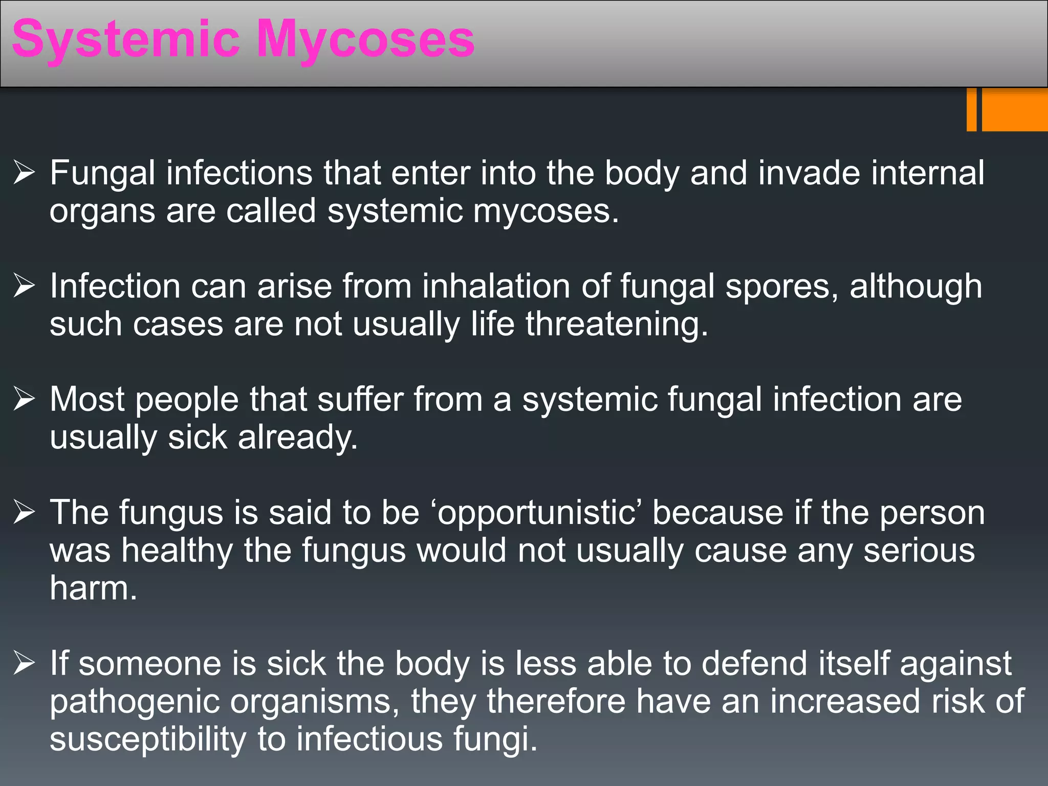 Fungi | PPT