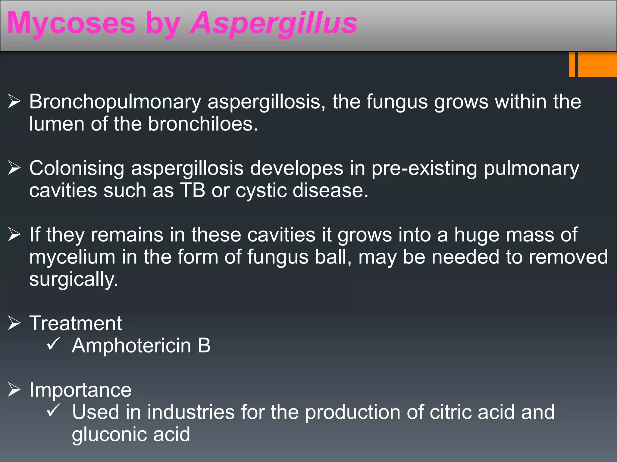 Fungi | PPT