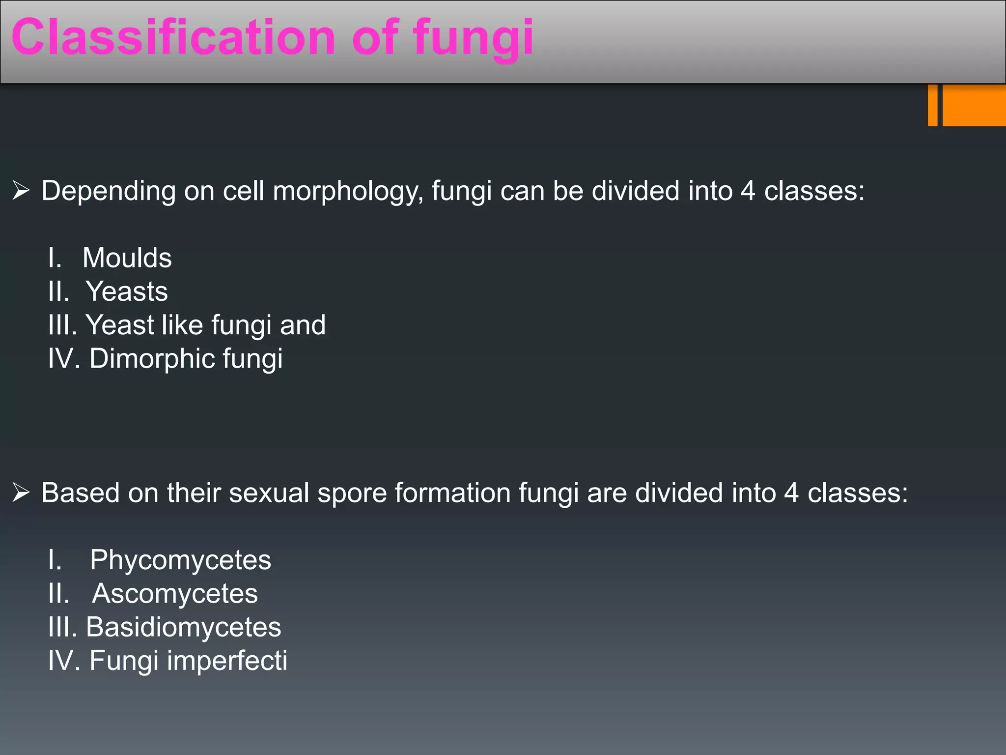 Fungi | PPT