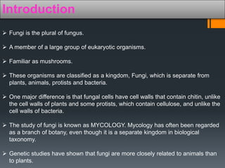 Fungi | PPT