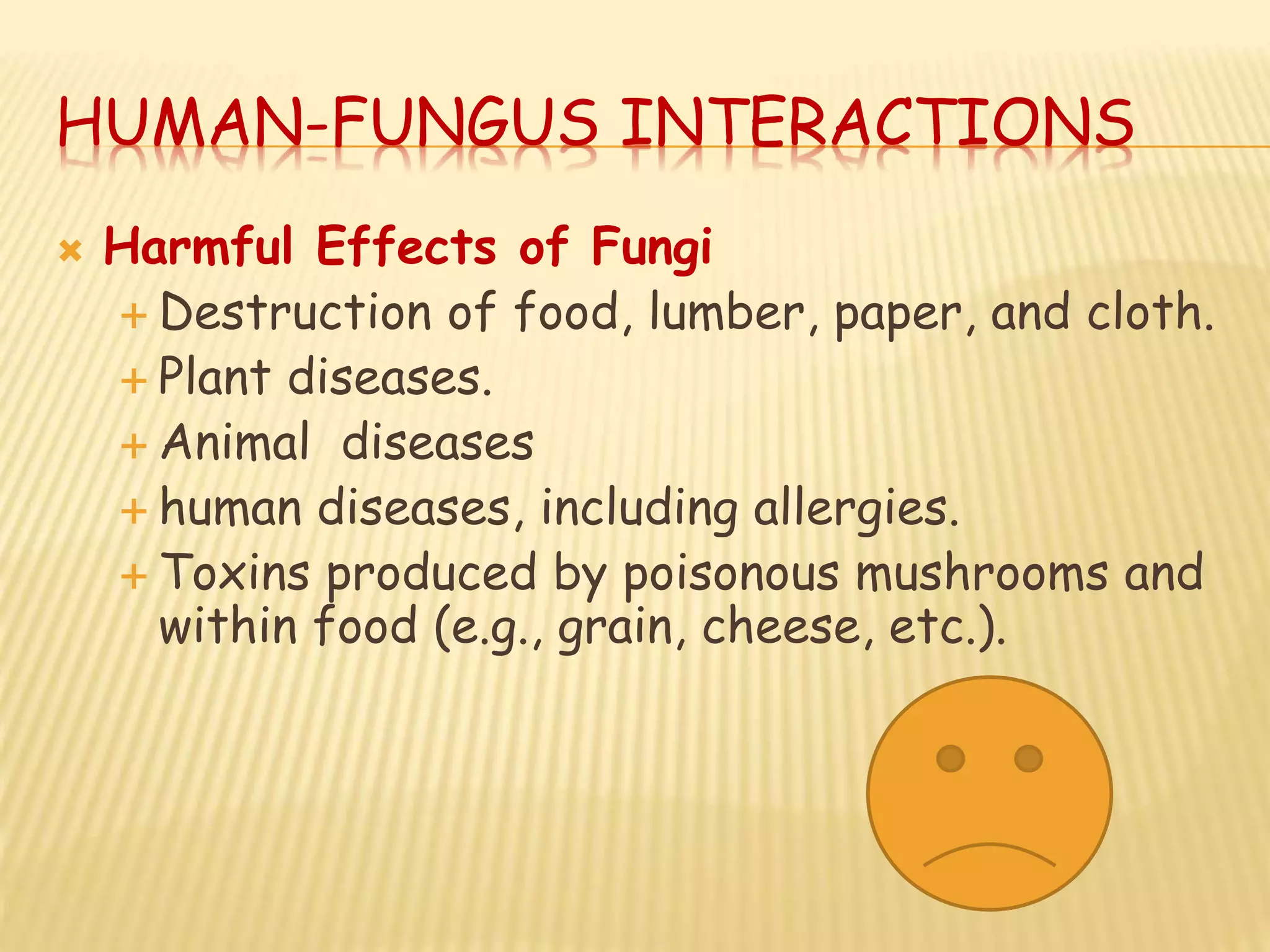 Fungi | PPTX