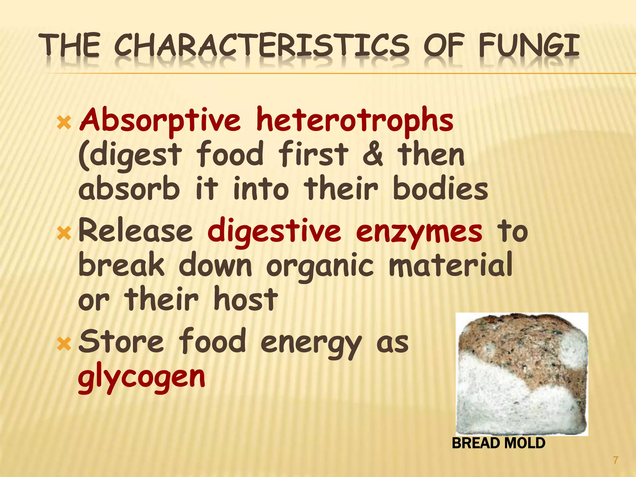 Fungi | PPTX
