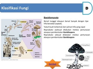 Fungi | PPTX