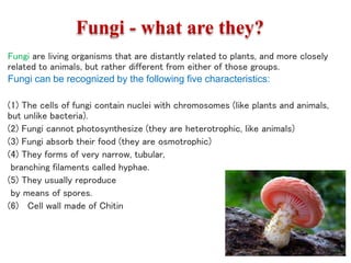 Fungi | PPTX | Gardening | Home & Garden