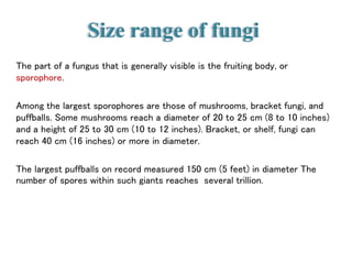 Fungi | PPTX